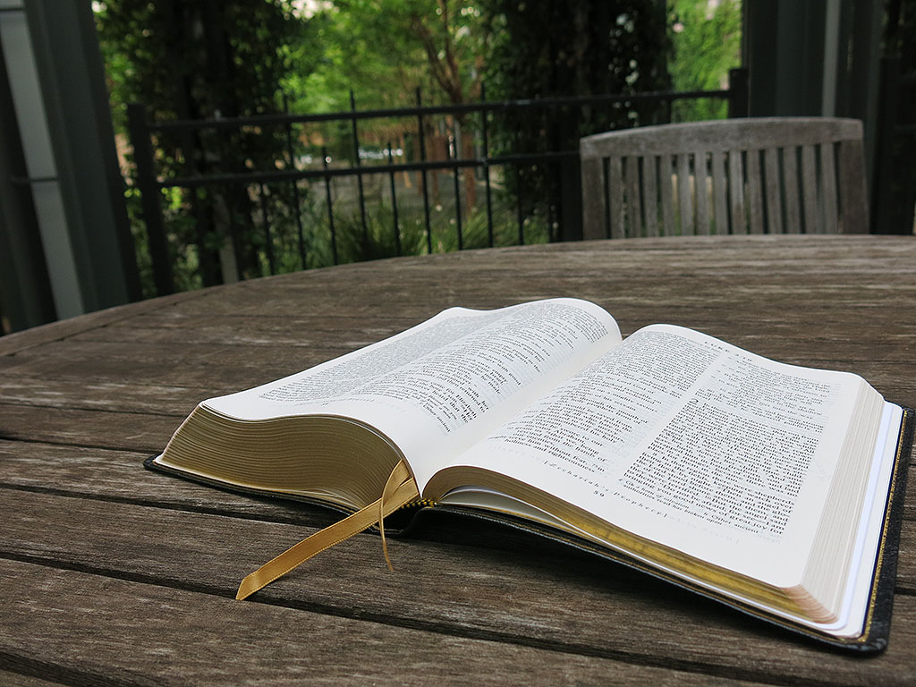 What to Expect - EDOT