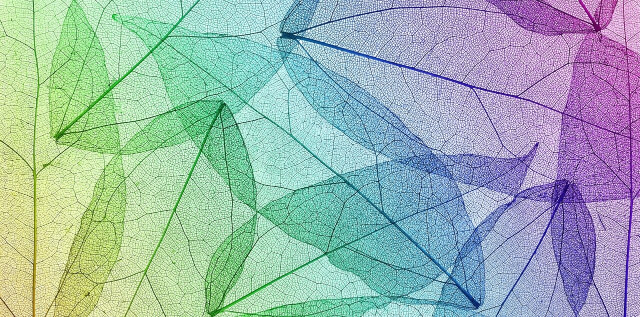 Ministry Integrity and Wellness - EDOT